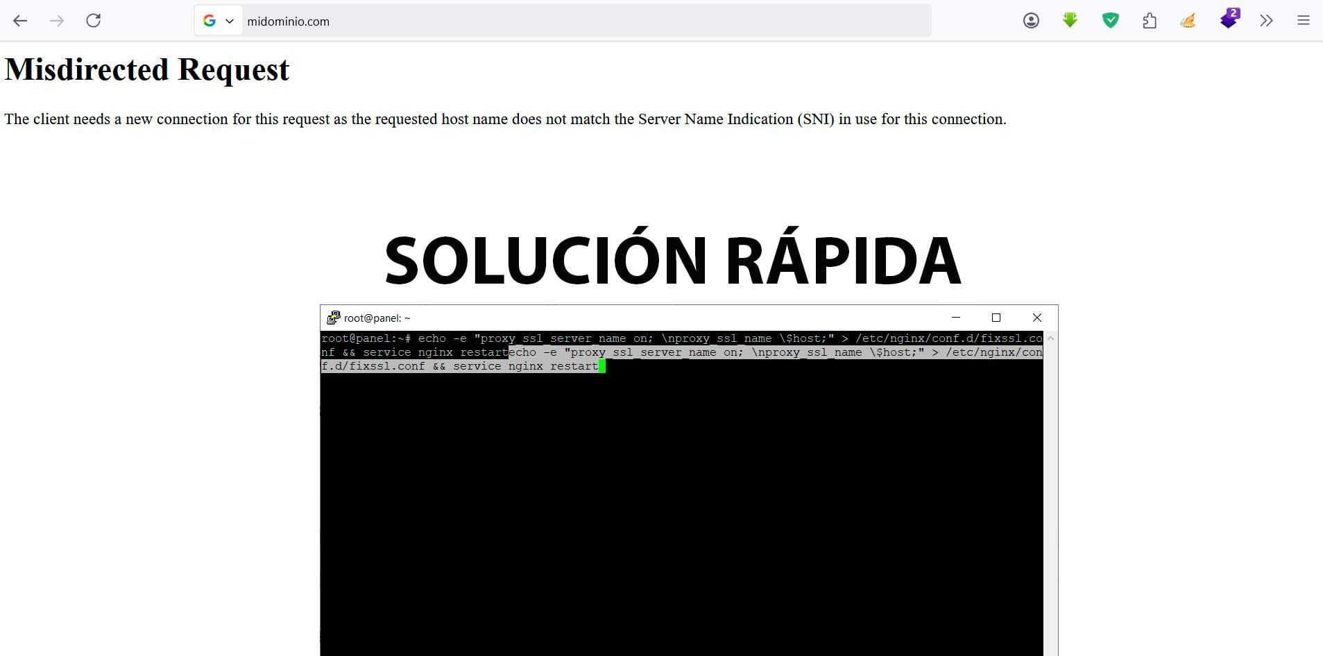 Cómo solucionar el error "Misdirected Request" en HestiaCP (VPS): NGINX + Apache » BaulPHP